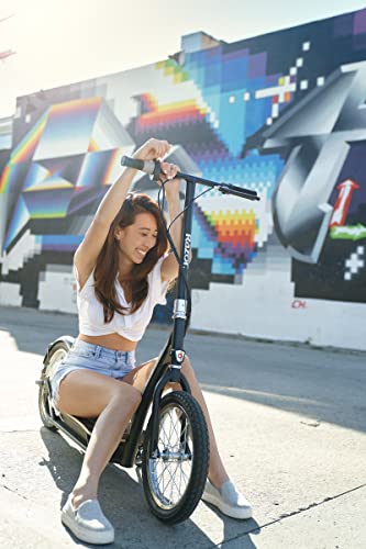 EcoSmart SUP Electric Scooter β 16" Air-Filled Tires, Wide Bamboo Deck, 350w High-Torque Hub-Driven Motor, Up to 15.5 mph & 15.5 Miles Range, Rear-Wheel Drive