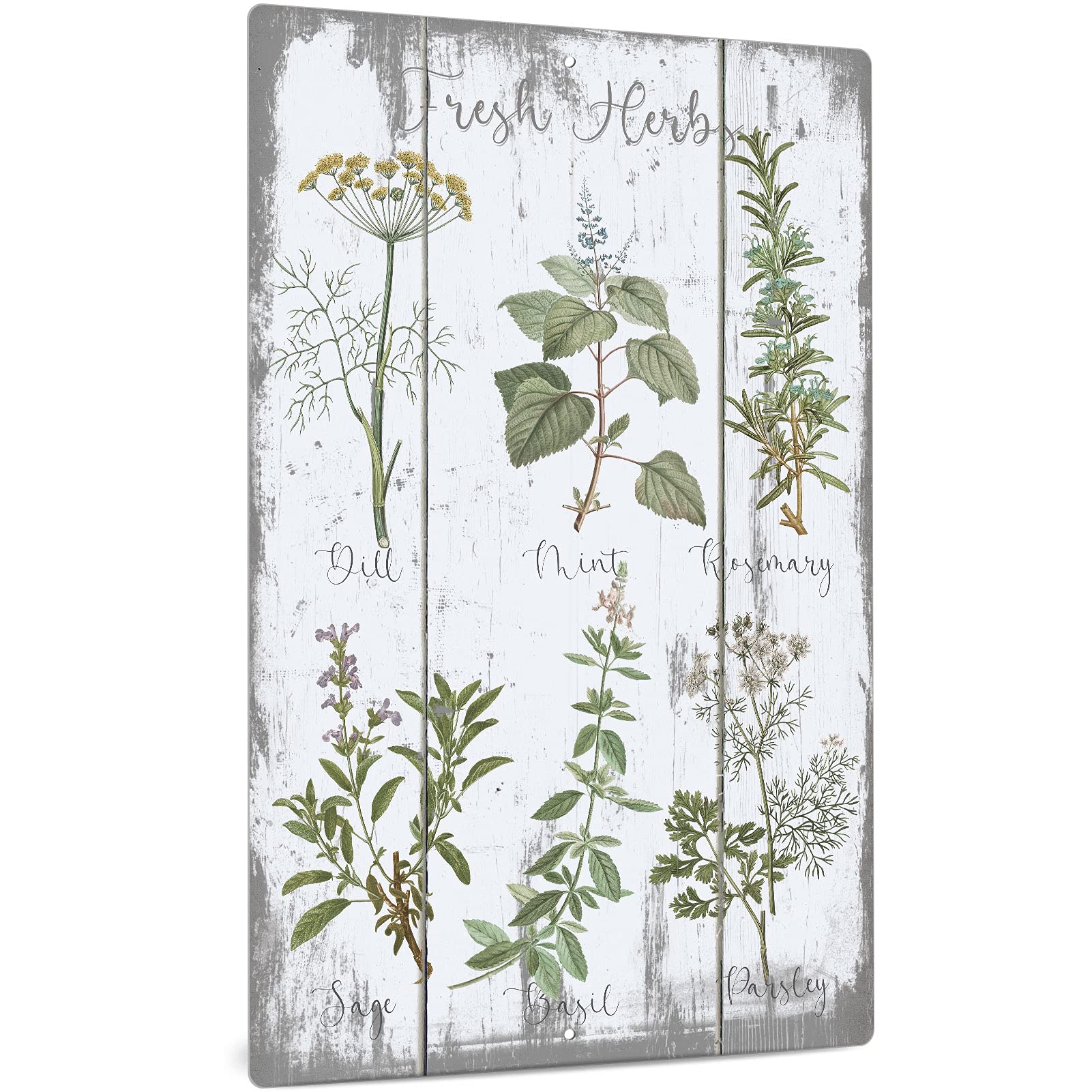 Putuo Decor Botanical Wall Decor, Education Infographic Herb and Spices Sign, Country Farmhouse Decoration Plaque for Bedroom, Kitchen, Garden, 12x8 Inches Aluminum Metal Art Sign
