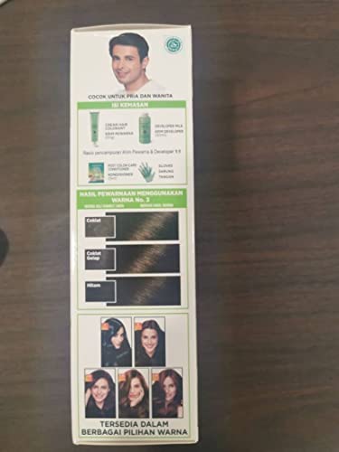 Garnier Color Naturals Creme Riche Hair Dye Hala (Burgundy)