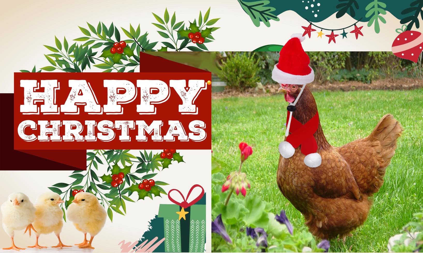 Christmas Pet Chicken Hat Scarf Set for Hens, 12 Pieces Santa Hat Cloak with Adjustable Chin Strap Cute Decorative for Duck Hens Rabbit Kitten