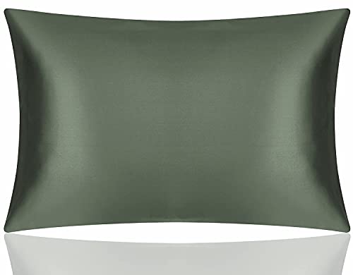 DISANGNI 100% Mulberry Silk Silk Pillowcase, Used for Hair and Skin, Envelope Type, Silk on one Side and Tencel on The Other Side, Count 600, 1pc (Green, Queen(50x75cm))
