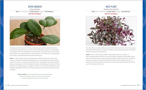 Houseplants for Beginners: A Practical Guide to Choosing, Growing, and Helping Your Plants Thrive