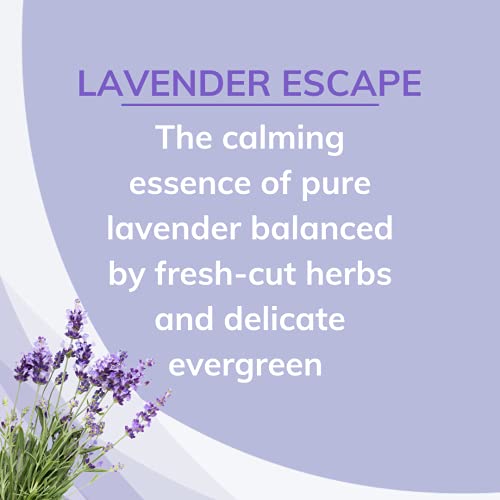 Citrus Magic Odor Absorbing Solid Air Freshener, Lavender Escape, 8-Ounce, 8 Ounce (Pack of 3), 3 Count