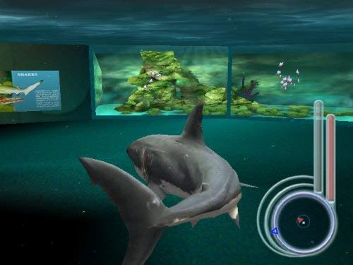 Jaws Unleashed - Xbox (Renewed)