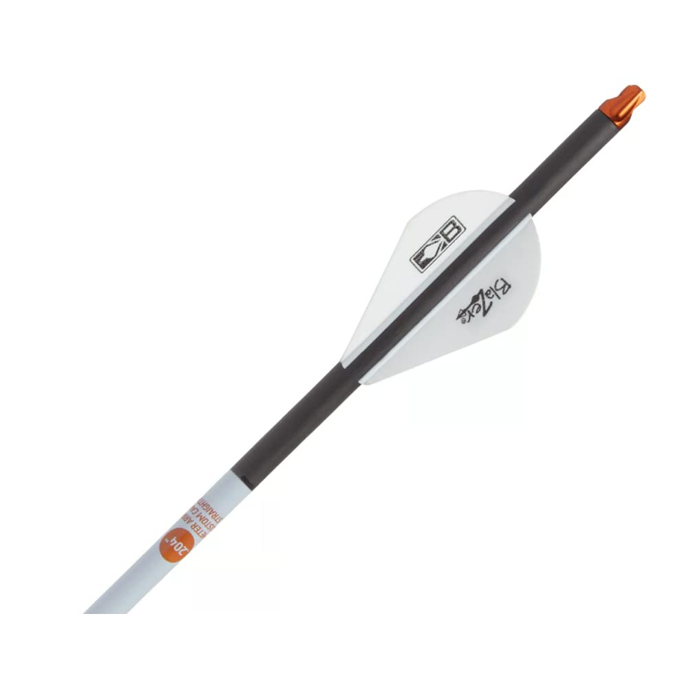 Barnett Archery CROSSBOWS BAR20017 Hyperflite 22" Crossbow Arrowss, 10-Pack