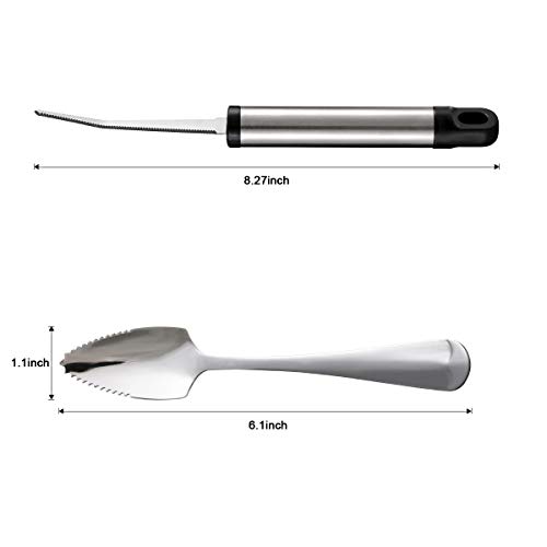 Grapefruit Spoons and Grapefruit Knife, Set of 7 Food Grade Stainless Steel Dessert Spoons Mirror Finish Fruit Knife, Serrated Grapefruit Utensils Tool, Suitable for Citrus Fruits Desserts Salads