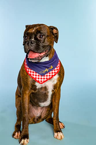 Doggy Parton Blue Printed Denim & Gingham Print Bandana for Pets, X-Small/Small (22120719)