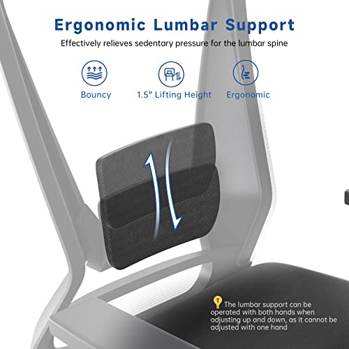 Dripex Ergonomic Office Chair, High Back Desk Chair, Computer Mesh Chair with Lumbar Support, Adjustable Headrest & 2D Armrest, 90°-135°Tilt Function, 360° Swivel Home Office Task Chair, Black