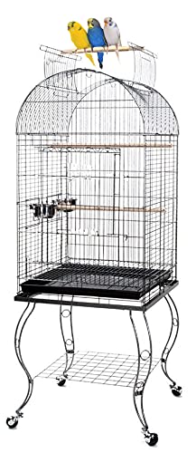 Large Open Dome Style Parrot Bird Cage with 5/8-Inch Bar Spacing for Quaker Cockatiel Indian Ring Neck Sun Parakeet Green Cheek Conures Lovebirds Budgies Canary Finch Parrotlet Portable Bird Cage