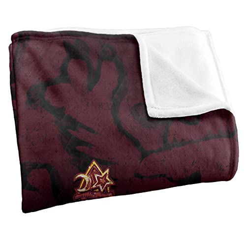 Harry Potter Blanket, 36"x58" Harry Potter House Crest Gryffindor Silky Touch Super Soft Throw Blanket