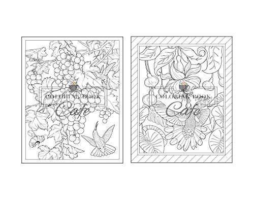 Hummingbird Coloring Book: An Adult Coloring Book Featuring Charming Hummingbirds, Beautiful Flowers and Nature Patterns for Stress Relief and Relaxation