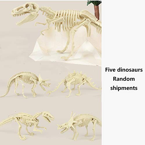 Dinosaur Fossils Dig Kit for Kids,Dig Up Dinosaurs Skeleton Set, Archaeology for Kids Educational Toys,Dinosaur Toys for Kids 8-12,Kids Gifts,Science Kits