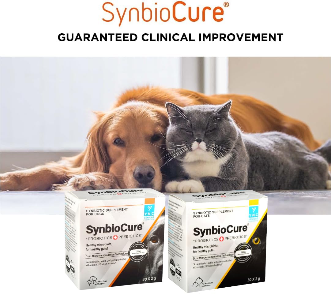 SynbioCure I Probiotics & Prebiotics for Cats I Powder Cat Supplement I Digestive Health Support I 200 Billion Bacteria Per Sachet I 30 Sachets*2 g
