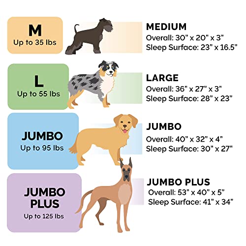 Furhaven Orthopedic Dog Bed for Large/Medium Dogs w/ Removable Bolsters & Washable Cover, For Dogs Up to 55 lbs - Quilted Sofa - Iron Gray, Large