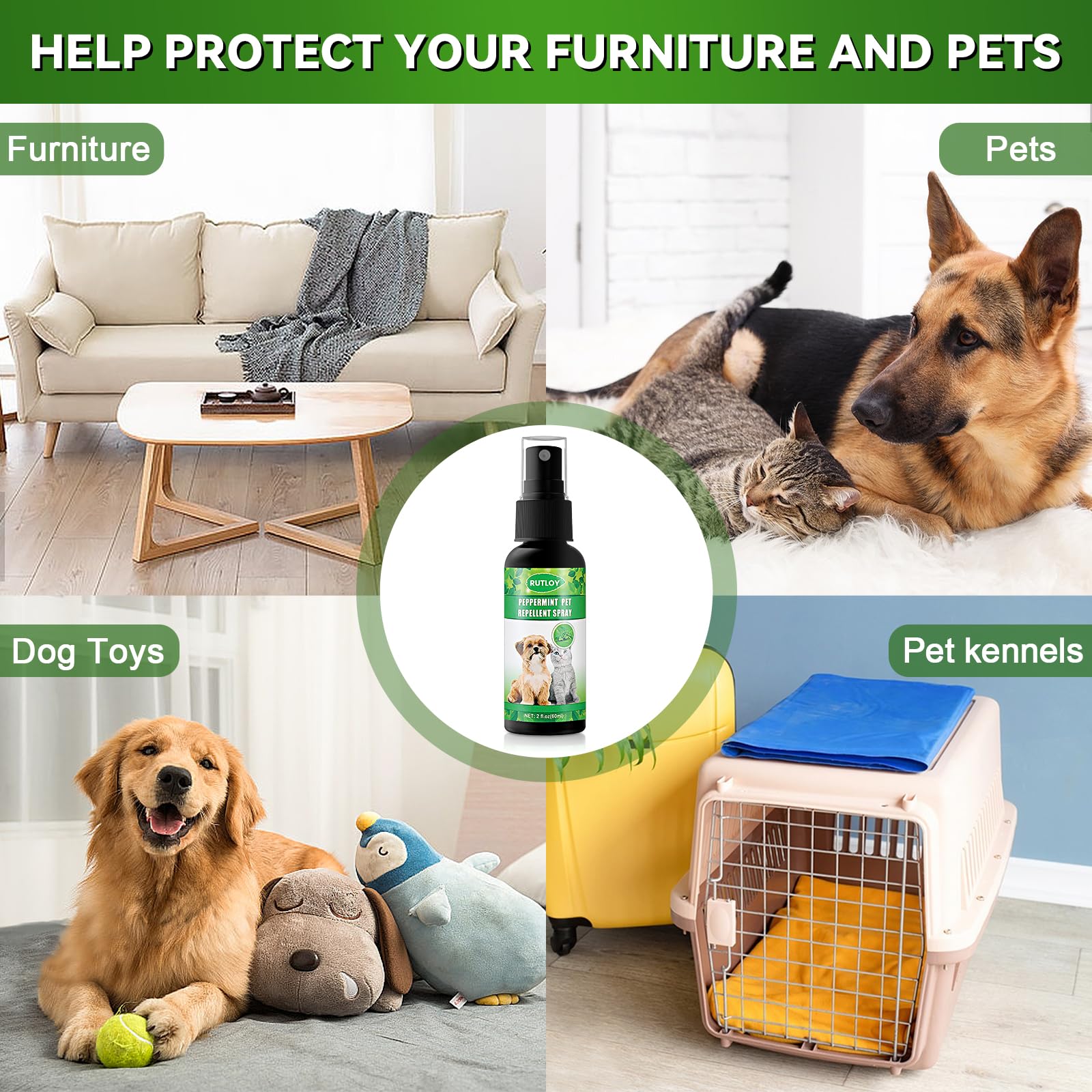 Flea and Mite Home Spray for Cats and Dogs, Essential flea and mite Treatment, Protects Your Home from Fleas and eliminates pet odours, Botanical Formula, for Indoor and Outdoor use (2oz)