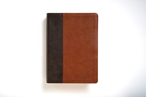 Every Man's Bible: New Living Translation, Large Print, TuTone (LeatherLike, Brown/Tan) β Study Bible for Men with Study Notes, Book Introductions, and 44 Charts