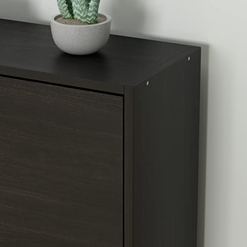 FUFU&GAGA Shoe Cabinet with 2 Flip Drawers for Entryway, Modern Storage Cabinet, Freestanding Rack Organizer (23.6”W x 9.4”D 31.4”H)(Black)