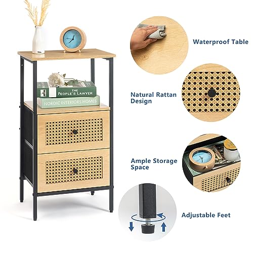 DOVAMY Rattan Nightstand with 2 Drawers, End Table for Small Spaces, Side Table with Storage for Bedroom, Living Room, Dorm, 27.5'' Bed Stand with Open Shelf, Beige BN03B