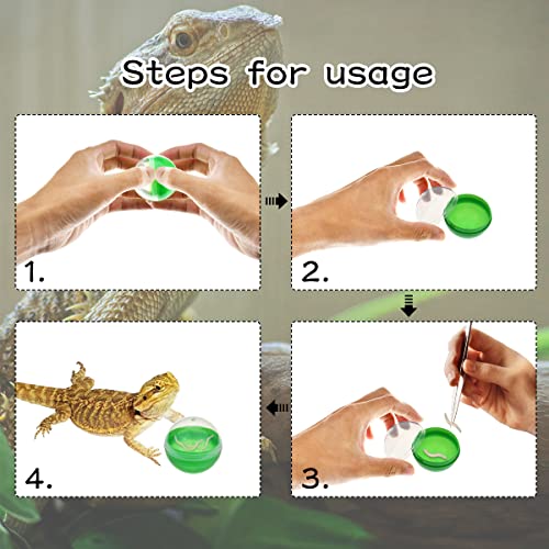 CooShou 6Pcs Lizard Bearded Dragon Feeding Toys Ball Reptile Food Toys Ball Lizard Interactive Toys for Bearded Dragon, Lizard, Gecko and Small Animals