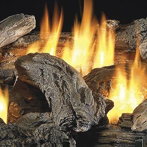 ProCom PCNSDS24RT Dual Fuel Ventless Fireplace Logs Set with Remote Control, Use with Natural Gas or Liquid Propane, 32000 BTU, Heats up to 1100 Sq. Ft, Realistic Painted, 24 Inches