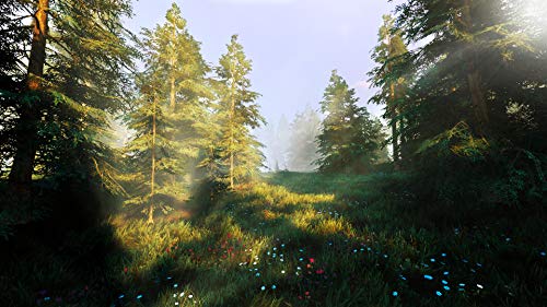 Hunting Simulator 2 - Nintendo Switch (Nintendo Switch)
