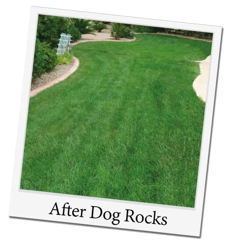 Dog Rocks - Prevent Grass Burn Spots by Urine - Save Your Lawn from Yellow Marks - 600g