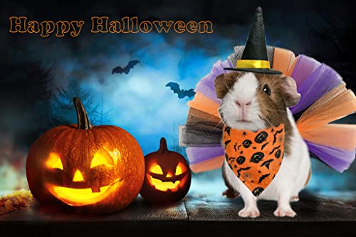 CooShou 3Pcs Guinea Pig Halloween Costume Small Animals Witch Hat Halloween Bandana Triangle Scarf for Guinea Pig Chinchilla