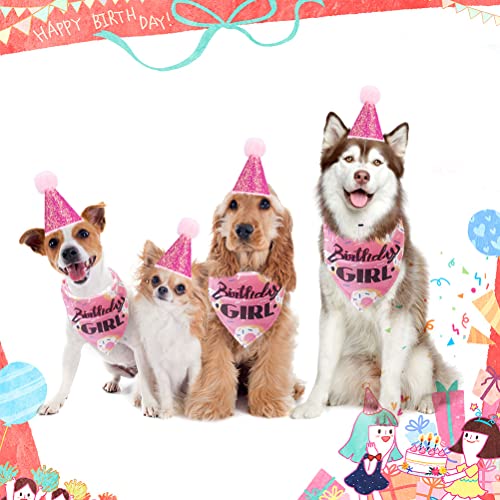 EXPAWLORER Dog Birthday Bandana Set - Cute Hat and Squeaky Monkey Toy for Birthday Party Supplies Gift - Great for Small Medium Large Dogs