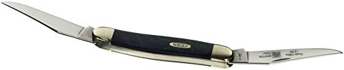Case Cutlery 9200AQ Aquarius Muskrat Corelon Pocket Knife with Stainless Steel Blades, Blue/Green