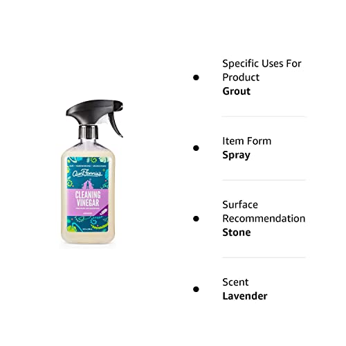 Aunt Fannie's All Purpose Cleaning Vinegar, Multisurface Spray Cleaner, 16.9 Ounces, Lavender Scent (Pack of 1)