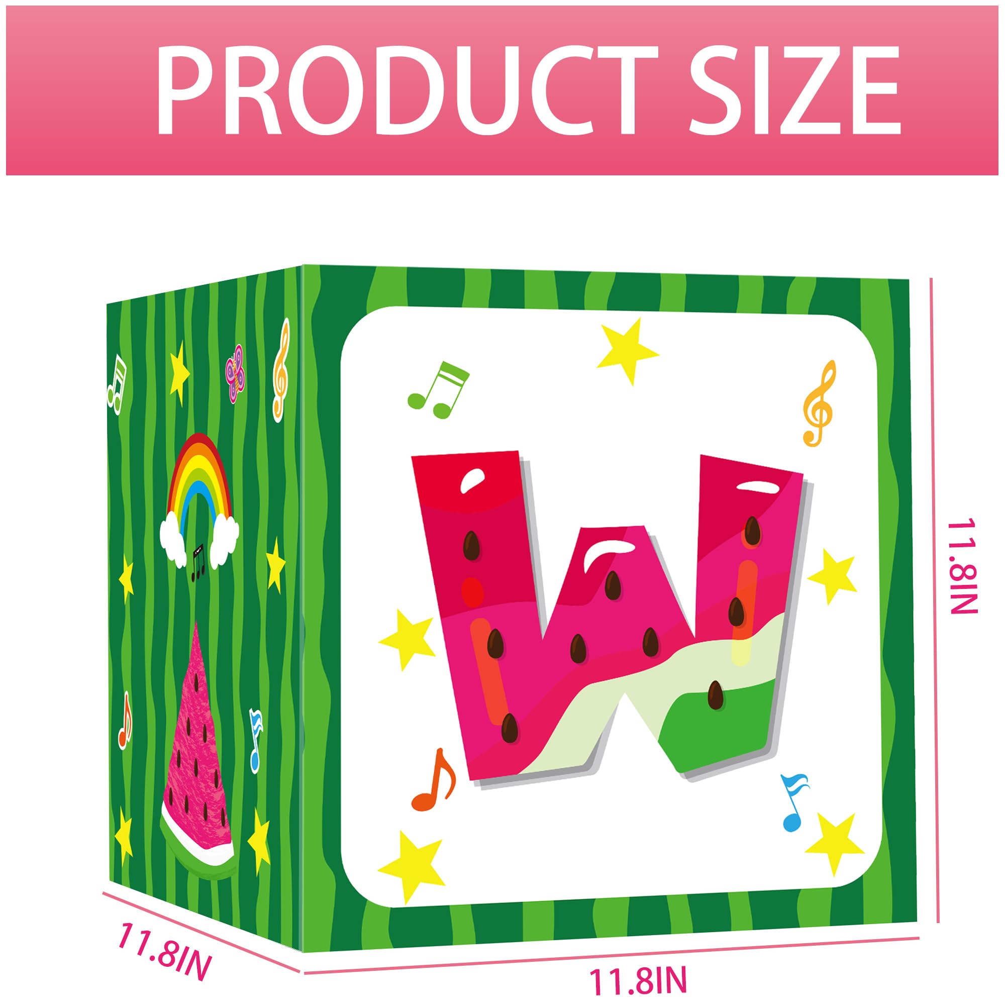 Cartoon Melon 2nd Birthday Balloon Boxes Party Supplies Decorations, 3pcs Watermelon One In A Melon Theme Party Gift Boxes Blocks Decor with TWO Cake Smash Backdrop