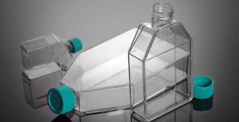 Sterilized Cell Culture Flasks - 250ml, 75cm2, Vent Cap, 5/pk
