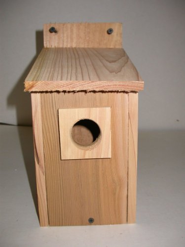 Cedarnest Bluebird Houses 8