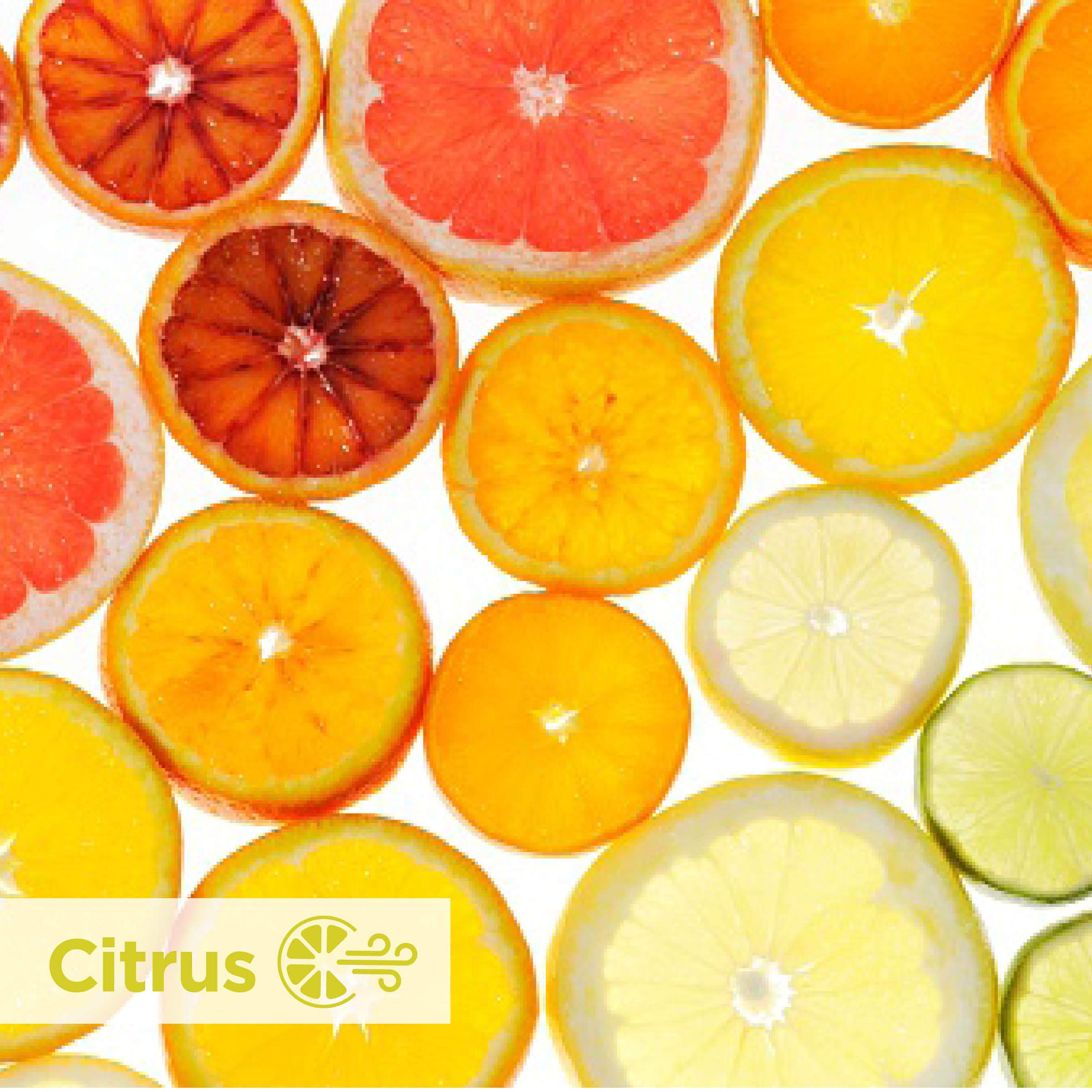 Georgia-Pacific ActiveAire Powered Whole-Room Freshener Dispenser Refill by GP PRO (Georgia-Pacific),Citrus,48285,12 Cartridges Per Case