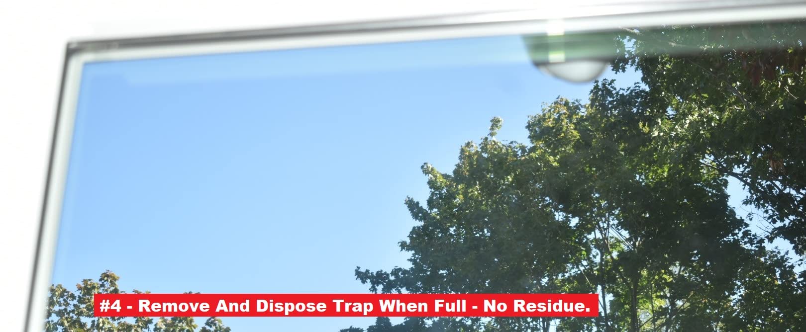Window Fly Traps by Titan Traps - Sticky Fly Paper, Window Bug Catcher, Indoor Fly Trap, Fly Paper Bug Sticky Strips, Window Fly Strips, Bug Sticky Trap - 30 Disposable Fly Traps (2 Pack)