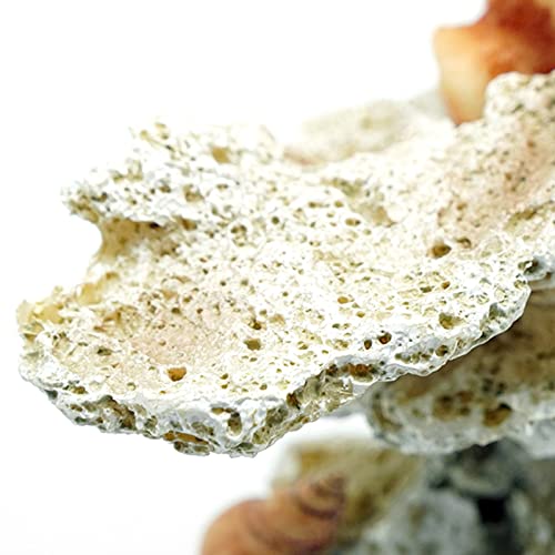 Emlymoly Aquarium Resin Ornament, Theme Decoration Fish Tank Aquarium Landscape (Coral Reef-A)