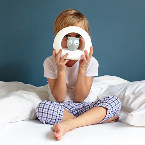 Zazu Kids Voice Activated Nightlight Lamp - Sleep Trainer, Grey Owl Lou