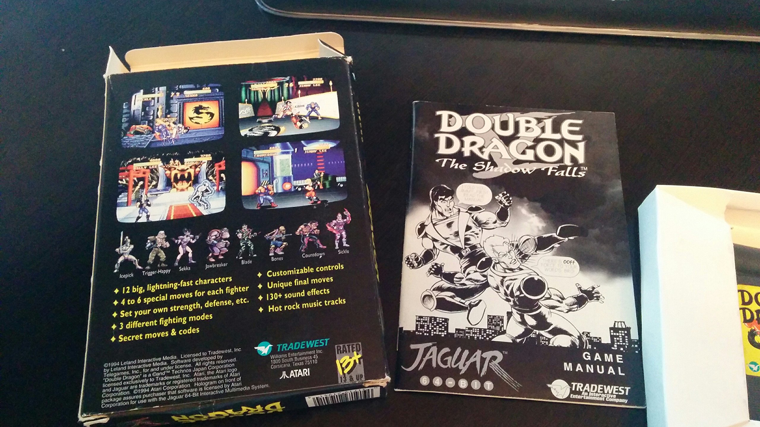 Double Dragon 5: The Shadow Falls