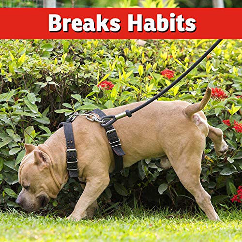 I Must Garden Dog and Cat Repellent: All Natural Spray to Stop Chewing and Repel from Yards, Plants, and Gardens β 32oz Easy Spray Bottle