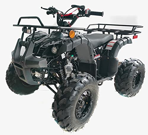 HHH 125cc Utility ATV w/Reverse Youth Adults Quad Big Tires-Pink Camo Extra Large
