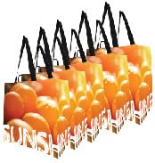 Earthwise Reusable Grocery Shopping Bags Extremely Durable Multi Use Large Stylish Fun Foldable Water-Resistant Totes
