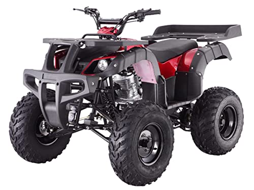 HHH Taotao Rhino 250 Adult ATV Quad 4-Speed Manual Transmission Air Cooled 4-Stroke