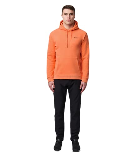 McLaren F1 Men's Lando Norris Core Hoodie (M)