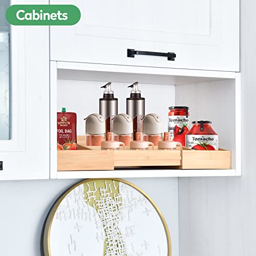 Expandbale Bamboo Countertop Organizer Bin,Counter And Pantry Organization For Kitchen, Bathroom And Dining Room,1 Pack,Natural Color
