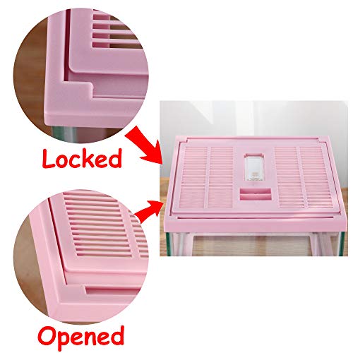crapelles Reptile Tank Color Pink Spider Terrarium Container Tarantula Box cage Gecko Habitat Insect Enclosure Frog Carrier Tortoise Snail Container Fish Bowl Hermit Crab House Cricket breeding Box