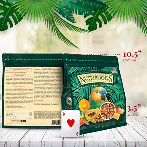 LAFEBER'S Tropical Fruit Nutri-Berries Pet Bird Food, Made with Non-GMO and Human-Grade Ingredients, for Parrots, 3 lb