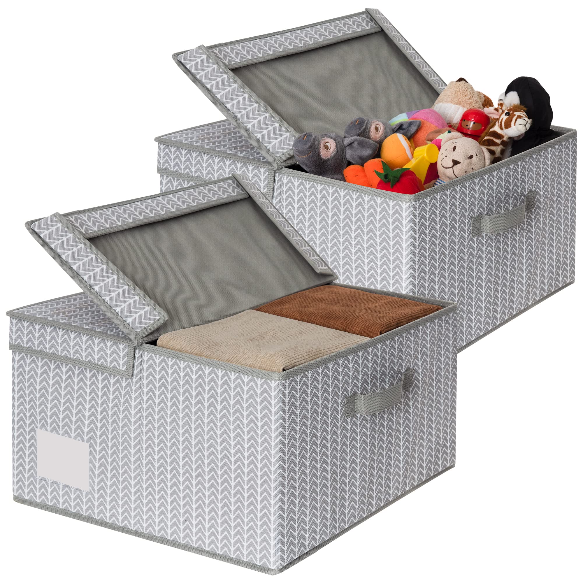 GRANNY SAYS Bundle of 2-Pack Closet Bins with Lids for Storage & 2-Pack Socks Storage Organizers