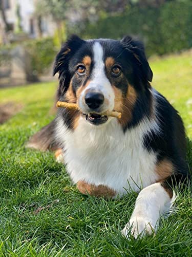 Fieldcrest Farms Nothing to Hide Natural Rawhide Alternative Twist Stix for Dogs - 3 Pack Bundle & Magnet (Chicken, Beef, Peanut Butter) Premium Easily Digestible Chews Great for Dental Health