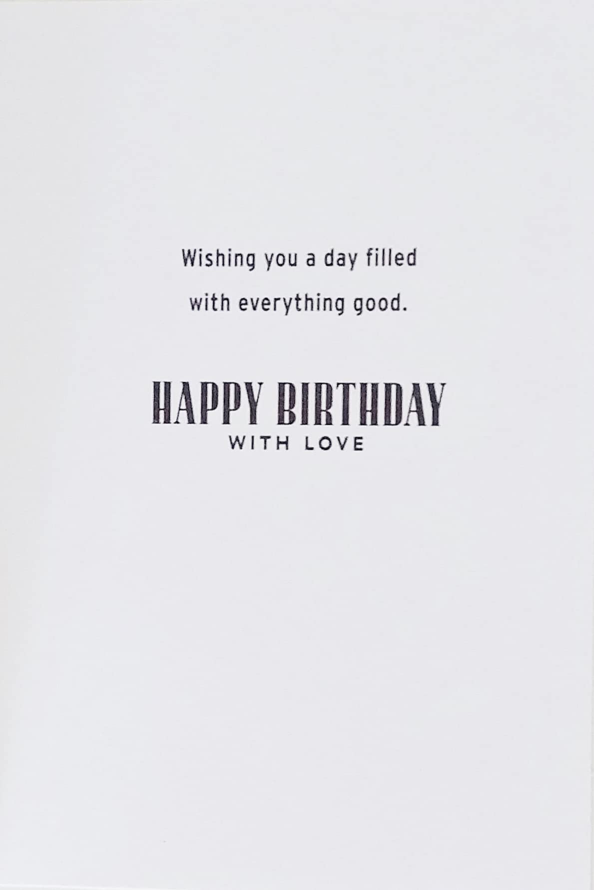 Greeting Card For You Son-in-Law - Wishing You A Day Filled With Everything Good - Happy Birthday With Love