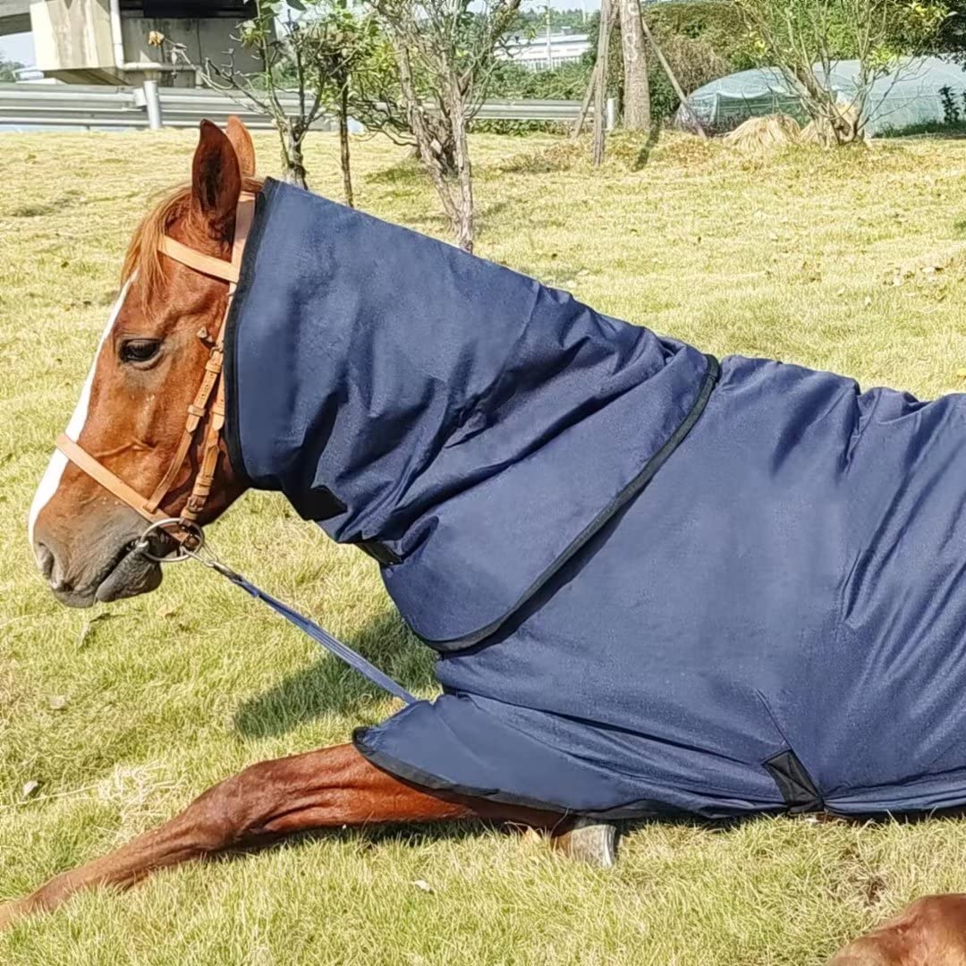 Waterproof Horse Turnout Blanket,Medium Weight Winter HorseTurnout Blanket (220g Fill) with Detachable Neck Cover,Blanket for Horse - Blue - 72 in